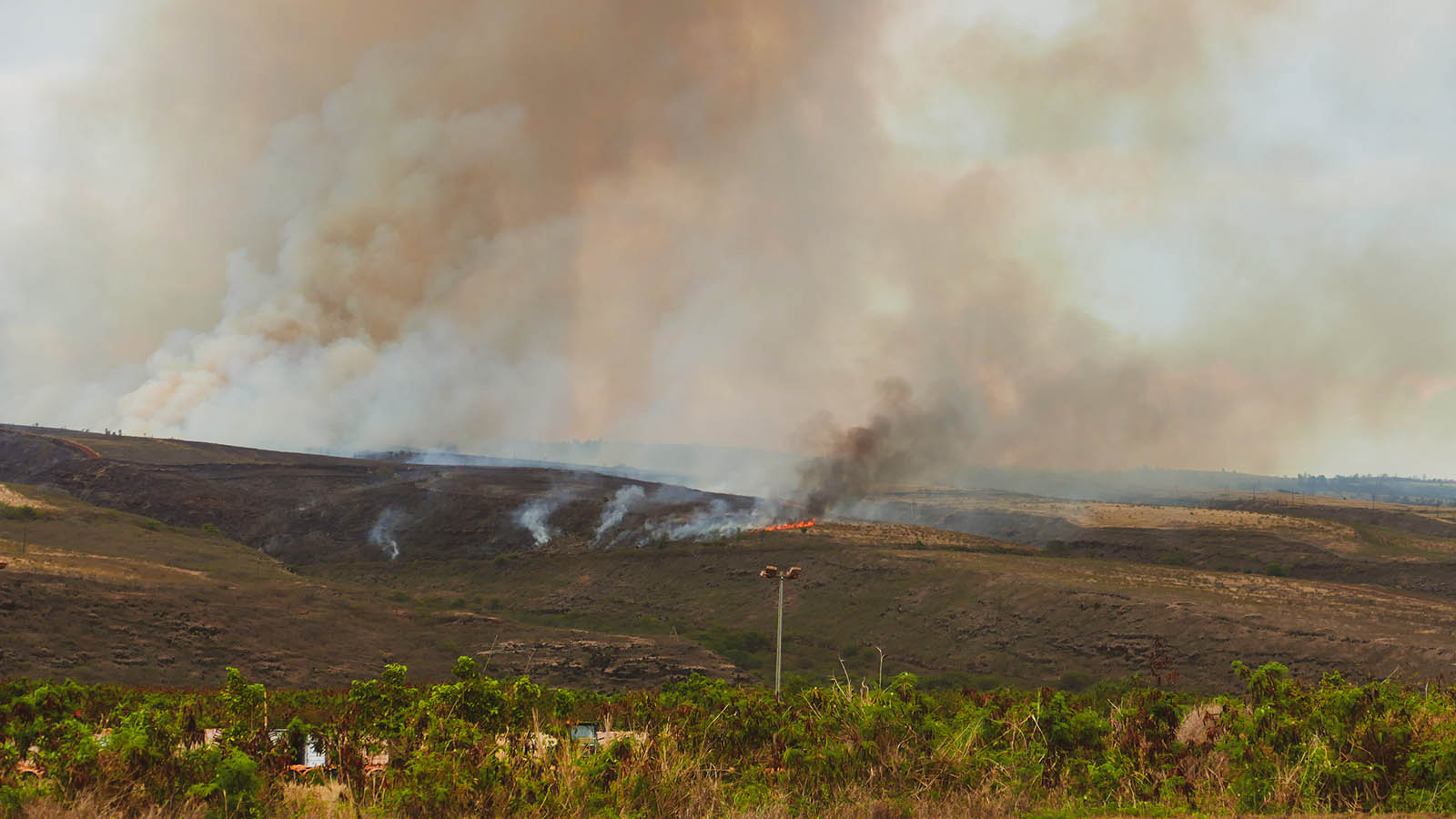 How to Help Hawaii Wildfire Recovery Efforts | NAHB