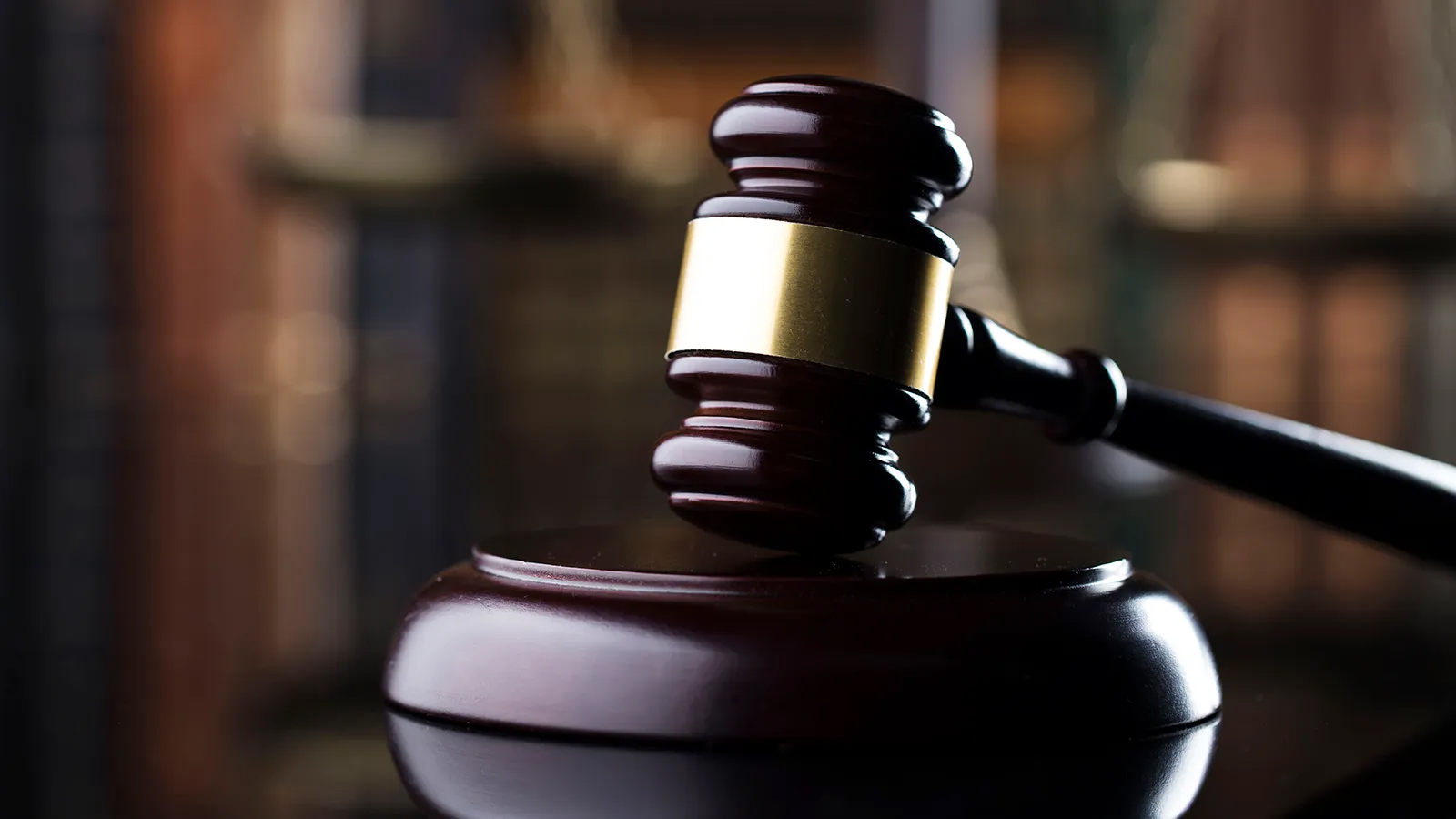 Brazilian Plywood Certifier Ordered to Revoke PS 1 Certificates and ...