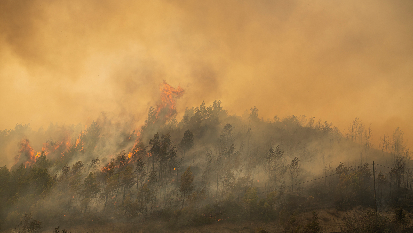 Protect Yourself and Workers from the Dangers of Wildfire Smoke-NAHB
