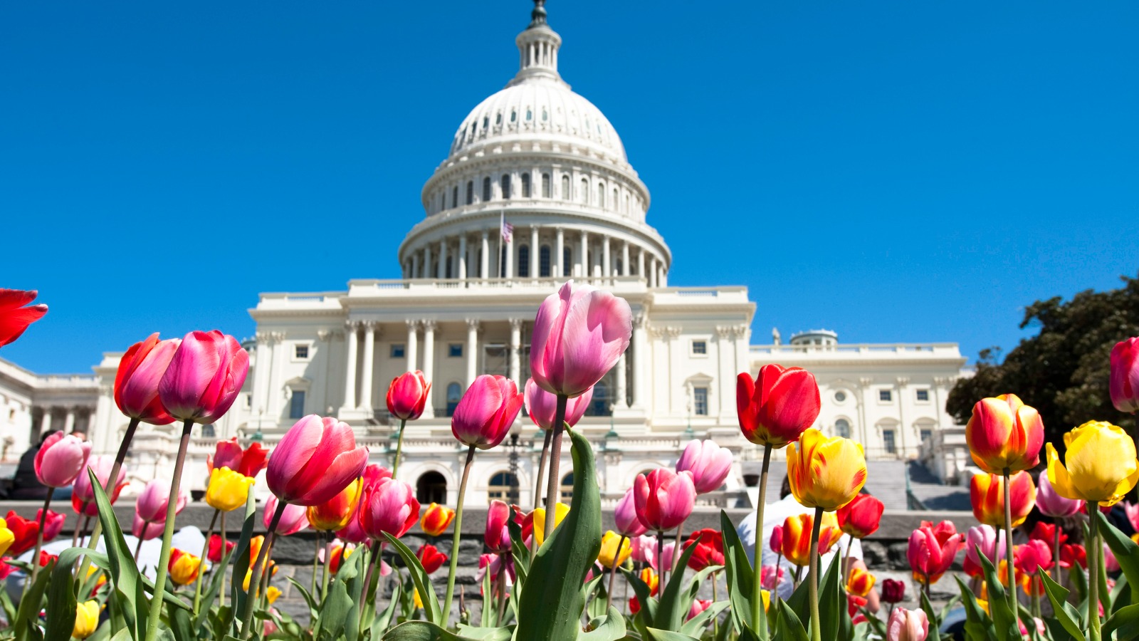 Register for NAHB's 2025 Legislative Conference Issues Briefing Webinar ...